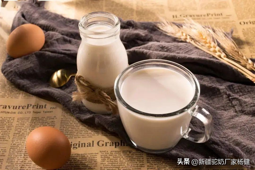 Some knowledge quiz about camel milk! - iNEWS