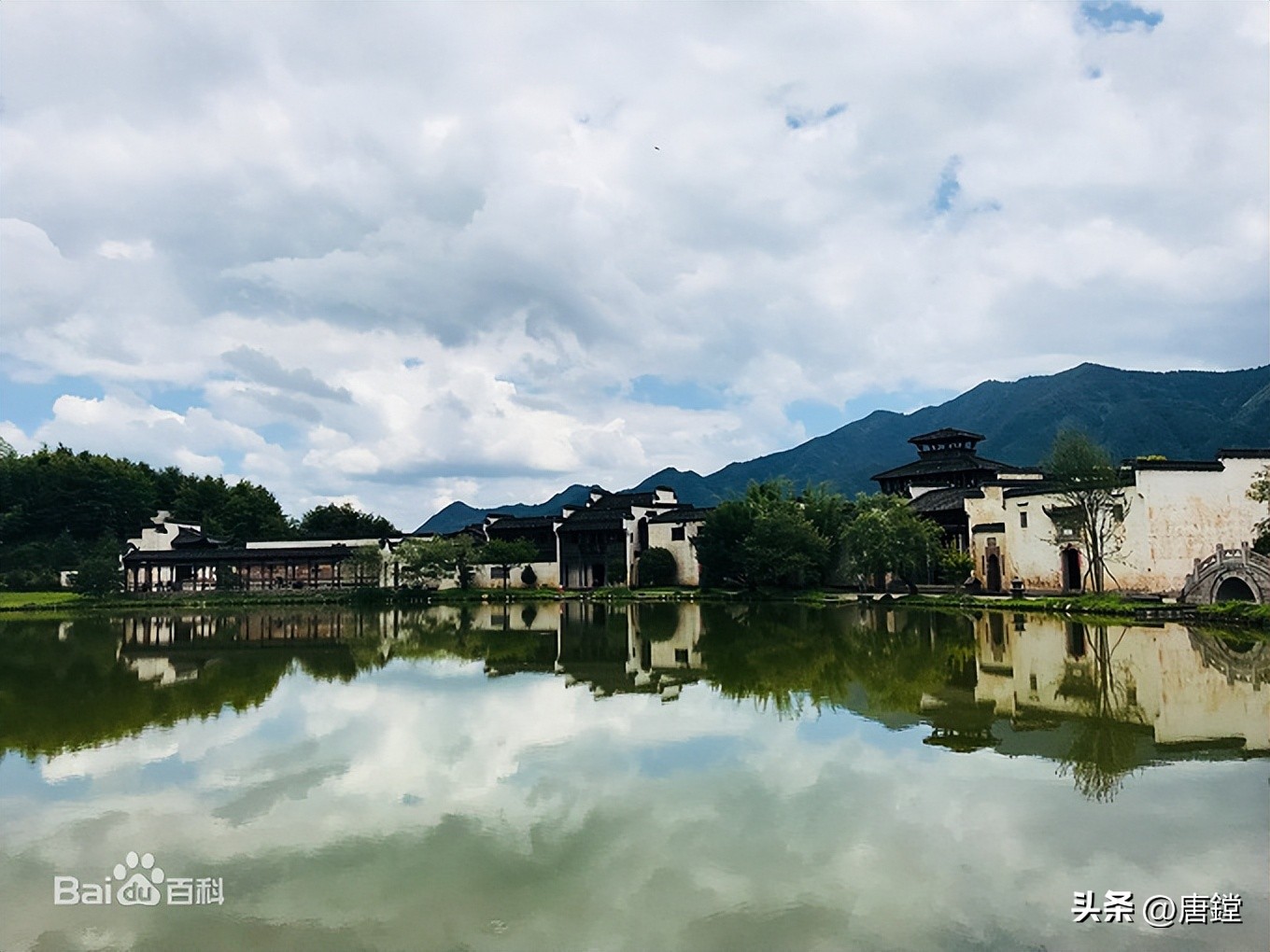 Get lost in the natural wonderland and explore the wonderful world of ...