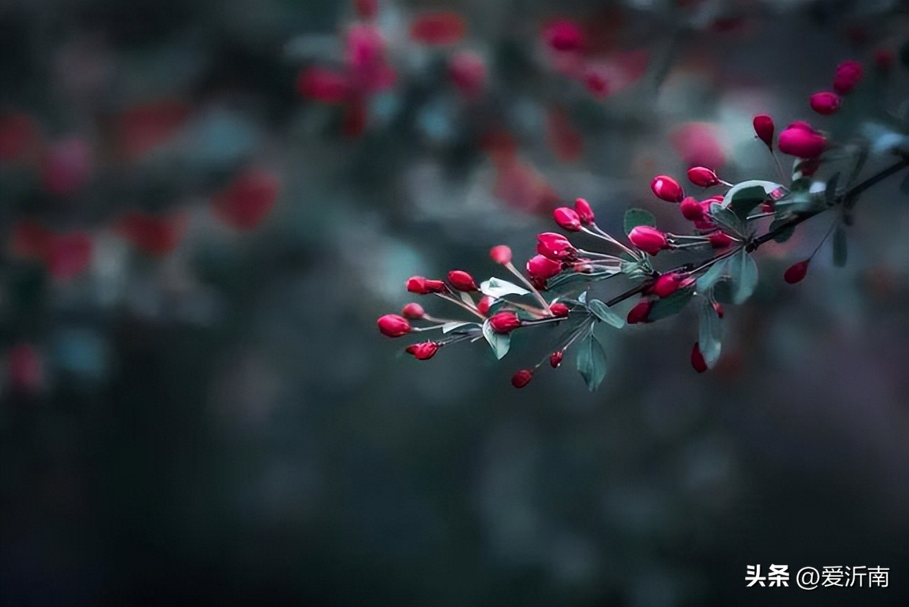 The most famous lovesickness poem in ancient and modern times, written ...