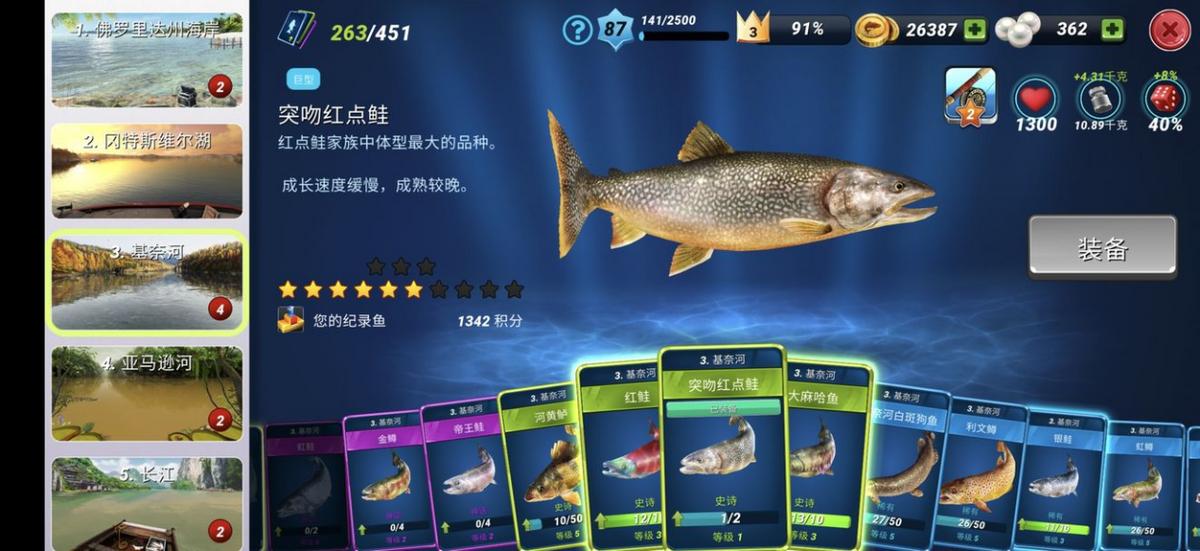 In the early autumn, the king of fish appeared in the Kinai River ...