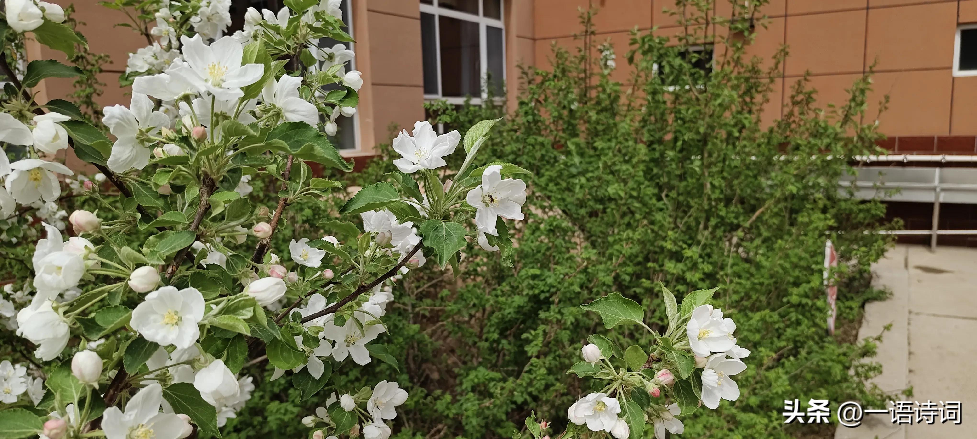 Original Poetry · Homeland - iNEWS