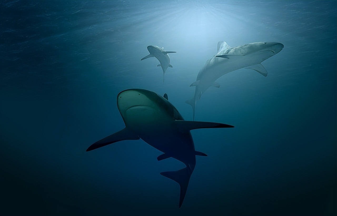 "From fish to man" has key evidence! 400 million years ago, our ...