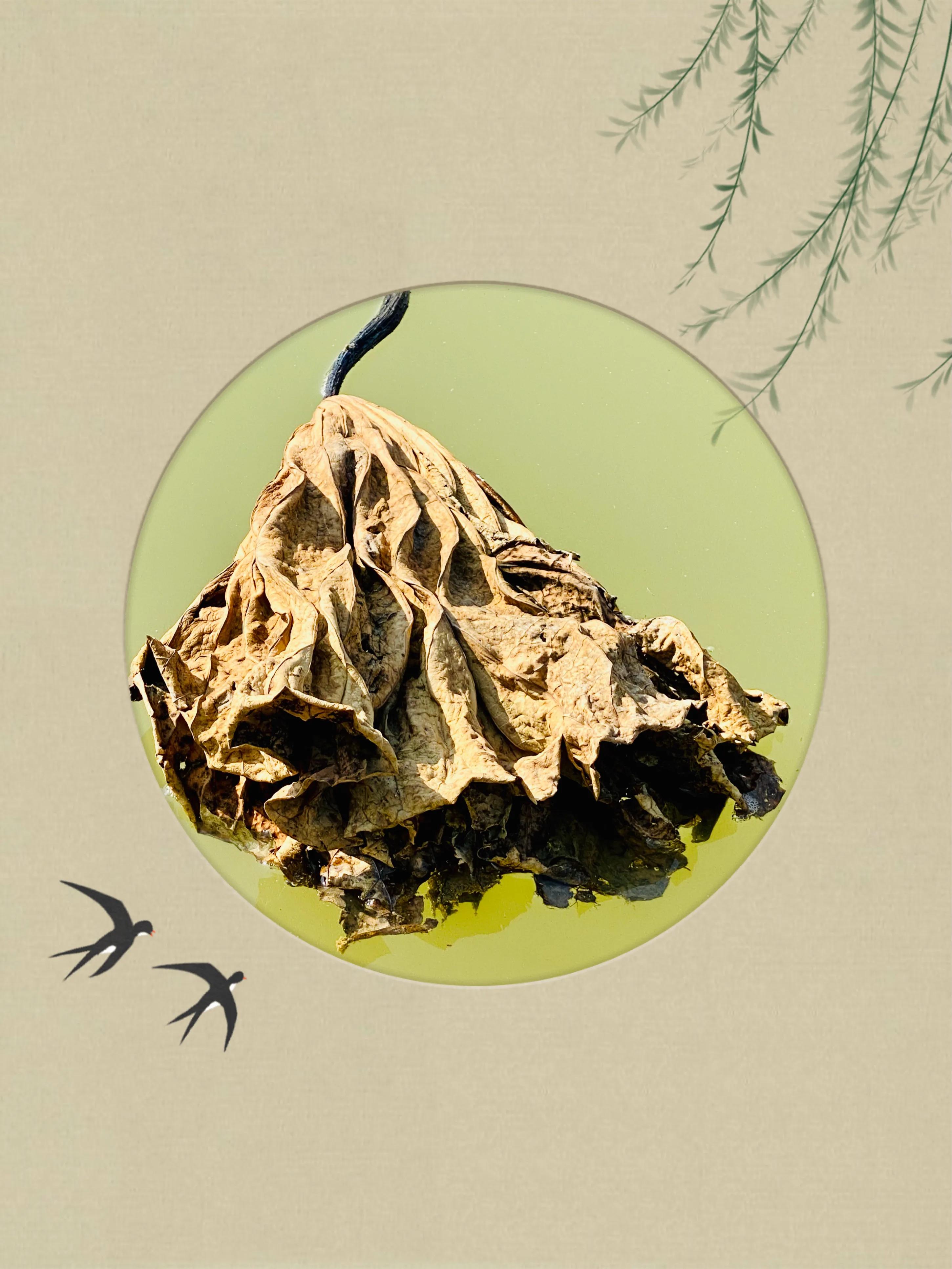 "Ding Fengbo · Winter Solstice" - iNEWS