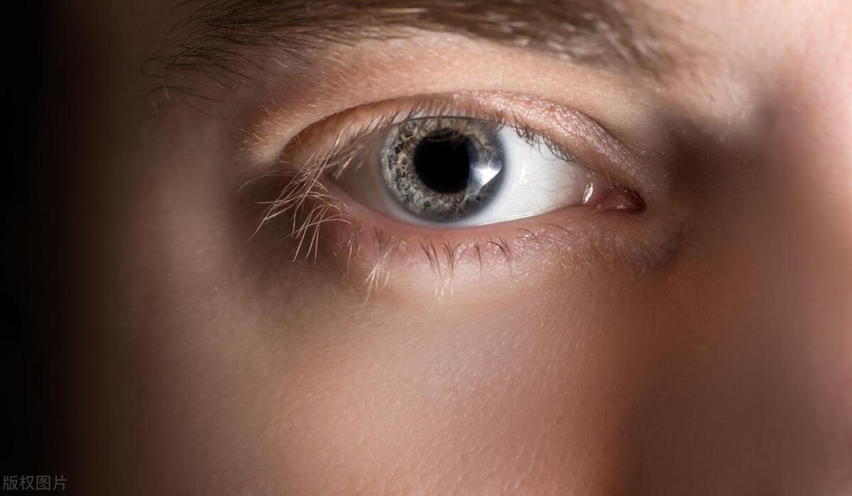 The language of the eyes, gain insight into the physical condition, and ...