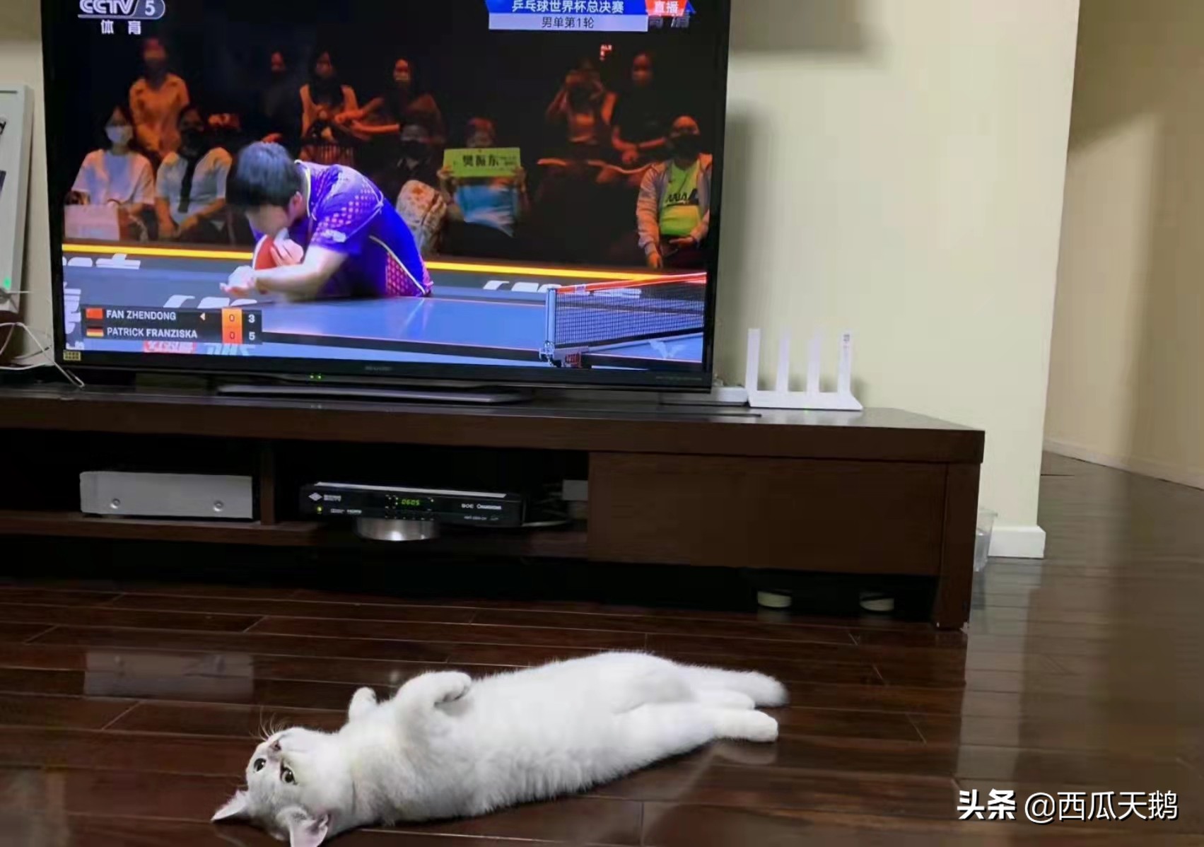 The national table tennis meritorious coach has a leisurely life ...