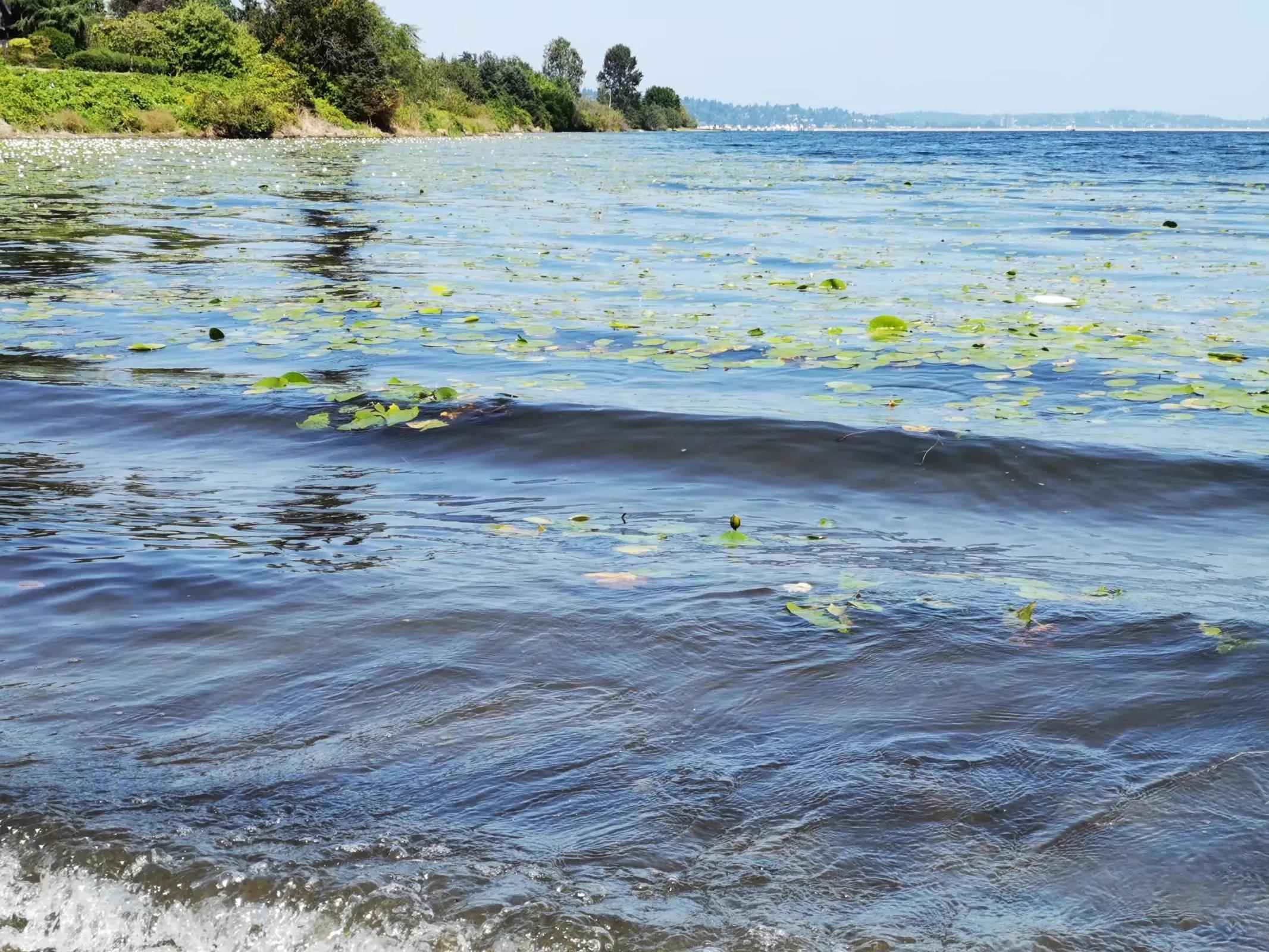 Changing Scenery Poems and Dramas (Seven Absolutes and Seven Poems ...