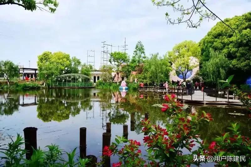 "Dream Flower Source" - iNEWS