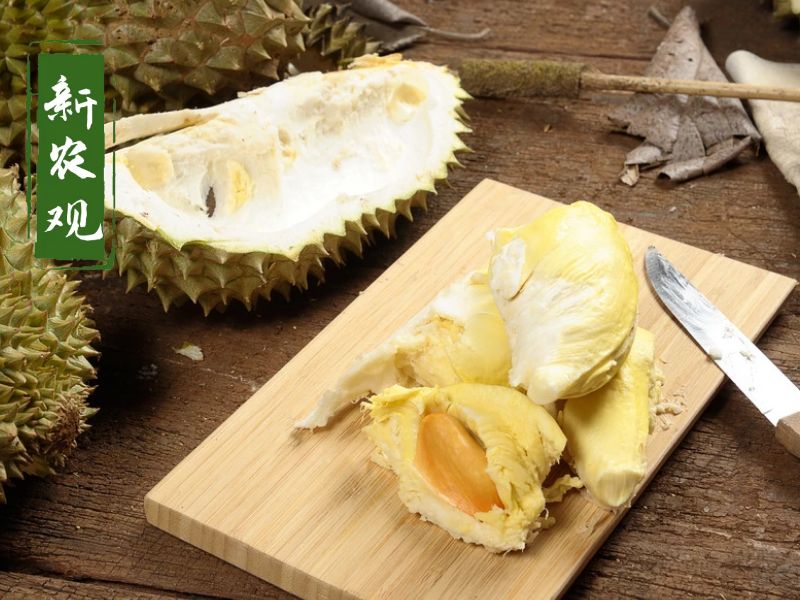 After Thailand and Vietnam, Philippine durian is coming!"Durian Freedom ...