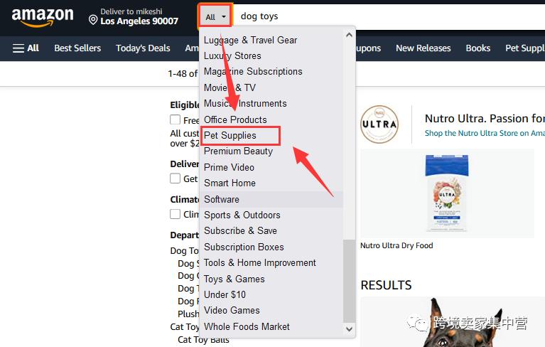 How to Extend the Amazon Search Results Interface - iNEWS
