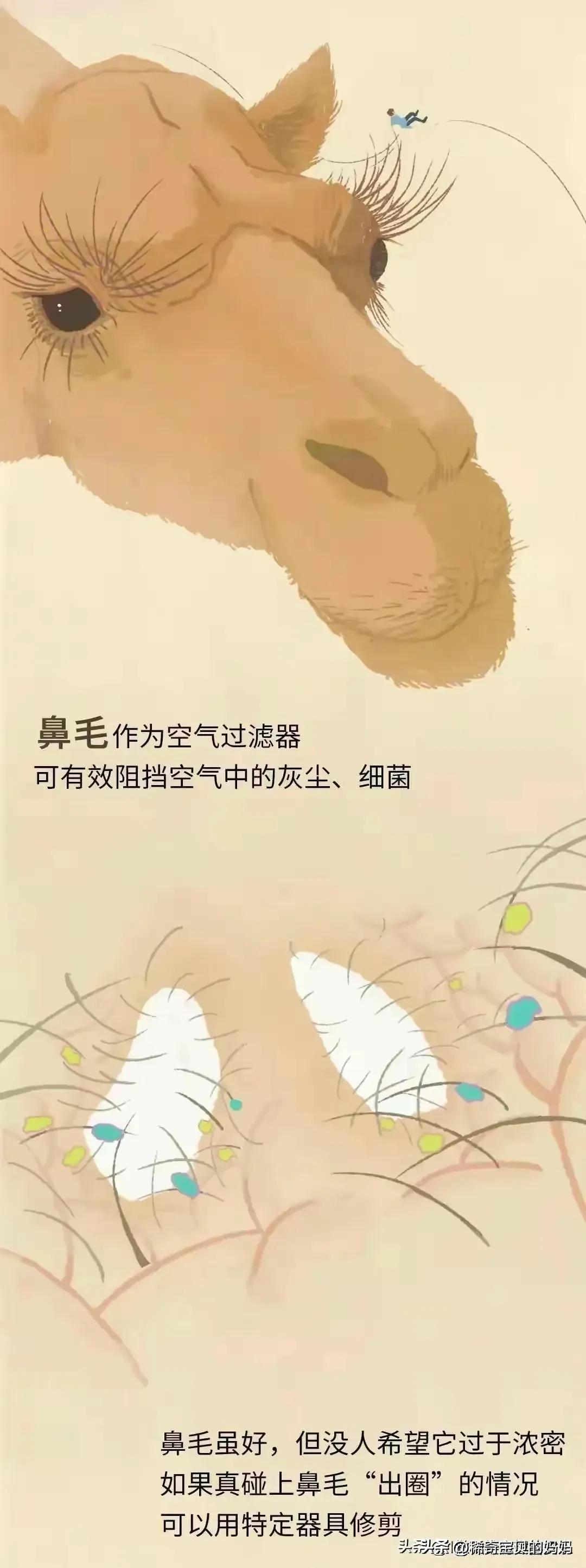 What is the use of human body hair, such as chest hair, private parts ...