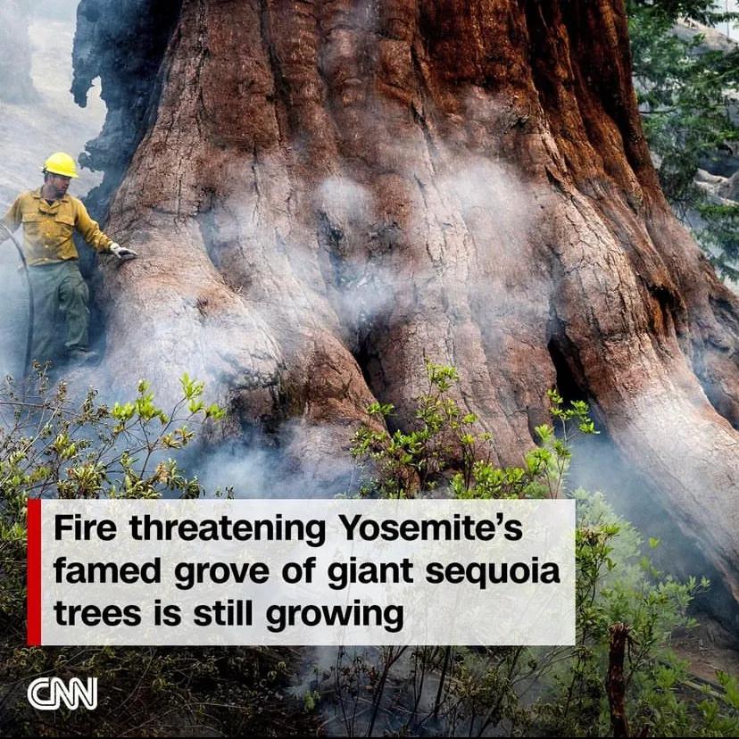 Yosemite National Park fires, 2,000-year-old giant redwood forest is ...