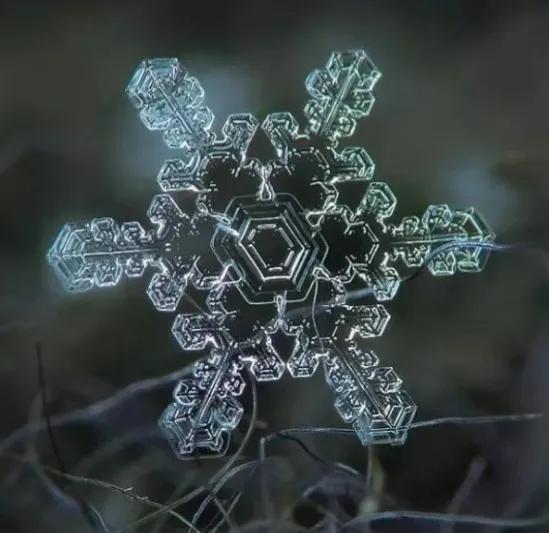 It's eye-opening, it turns out that snowflakes are so beautiful, but ...