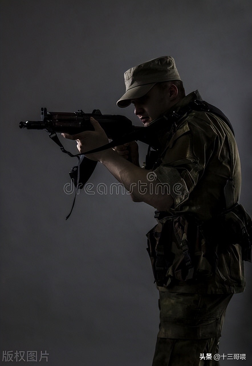 The actions of the Free Russian Legion in Belgorod amounted to a ...