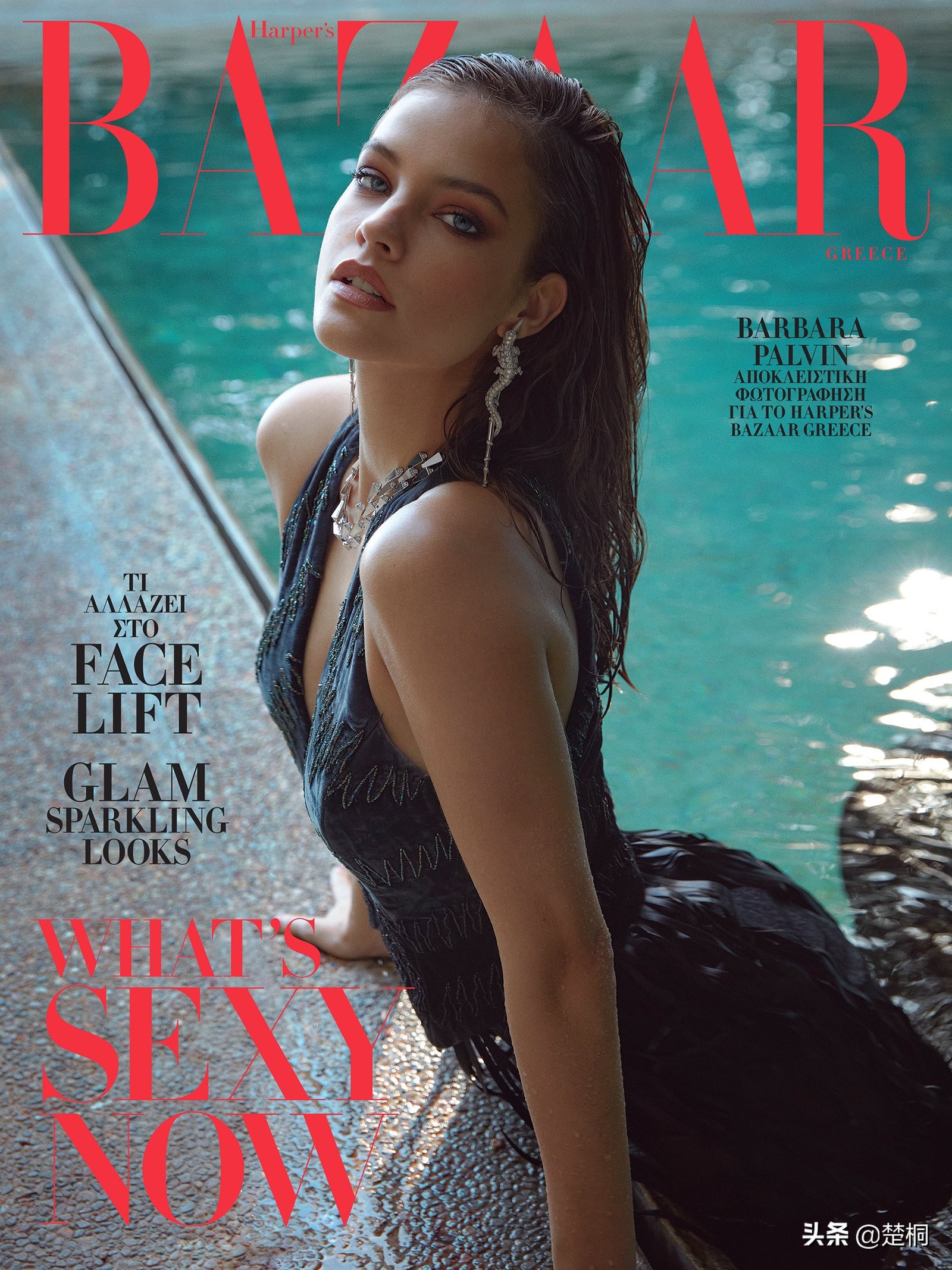 Hungarian supermodel Barbara Palvin, the cover photography of the Greek ...