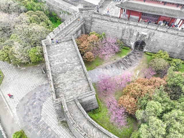 The beauty after years of precipitation: The spring scenery in ...