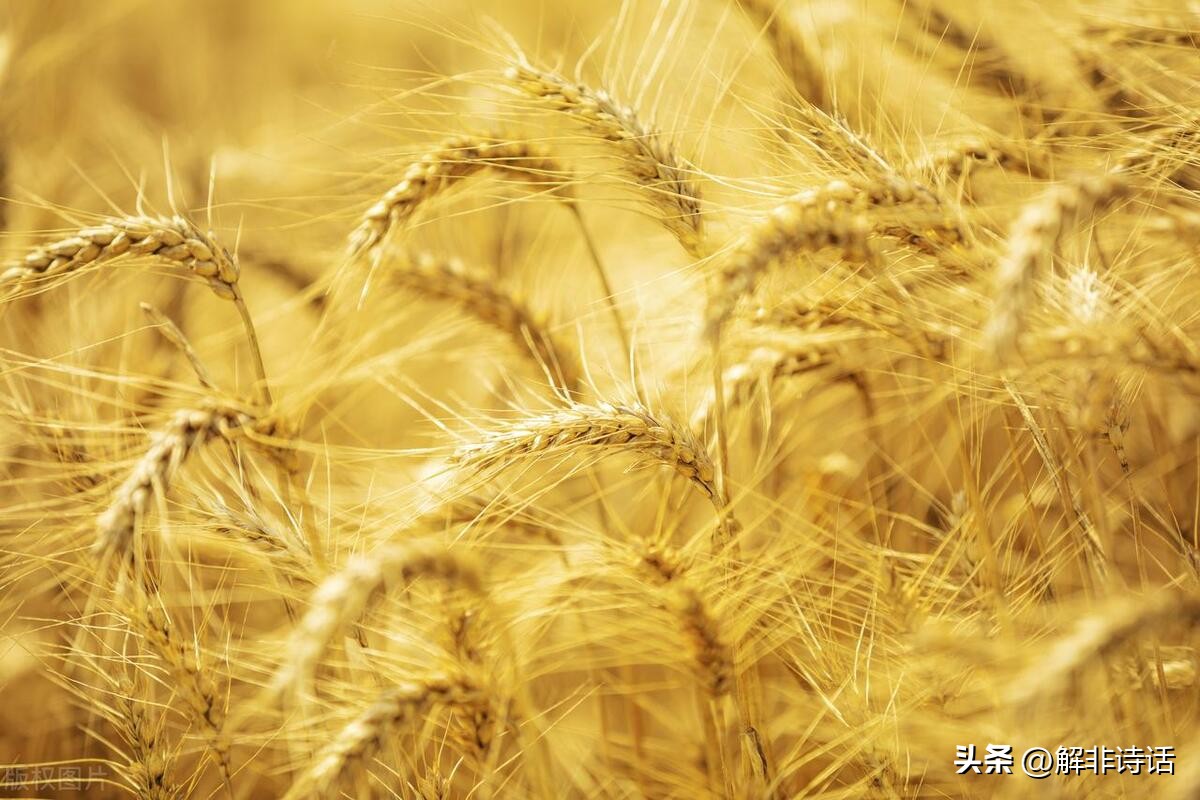 On the Water Side (Outer Song) - iNEWS