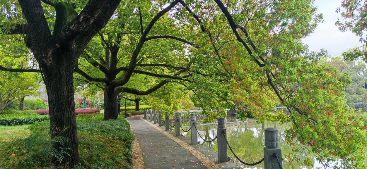 Yanzhou Ancient City—Yanyu Jiangnan 12 - iNEWS