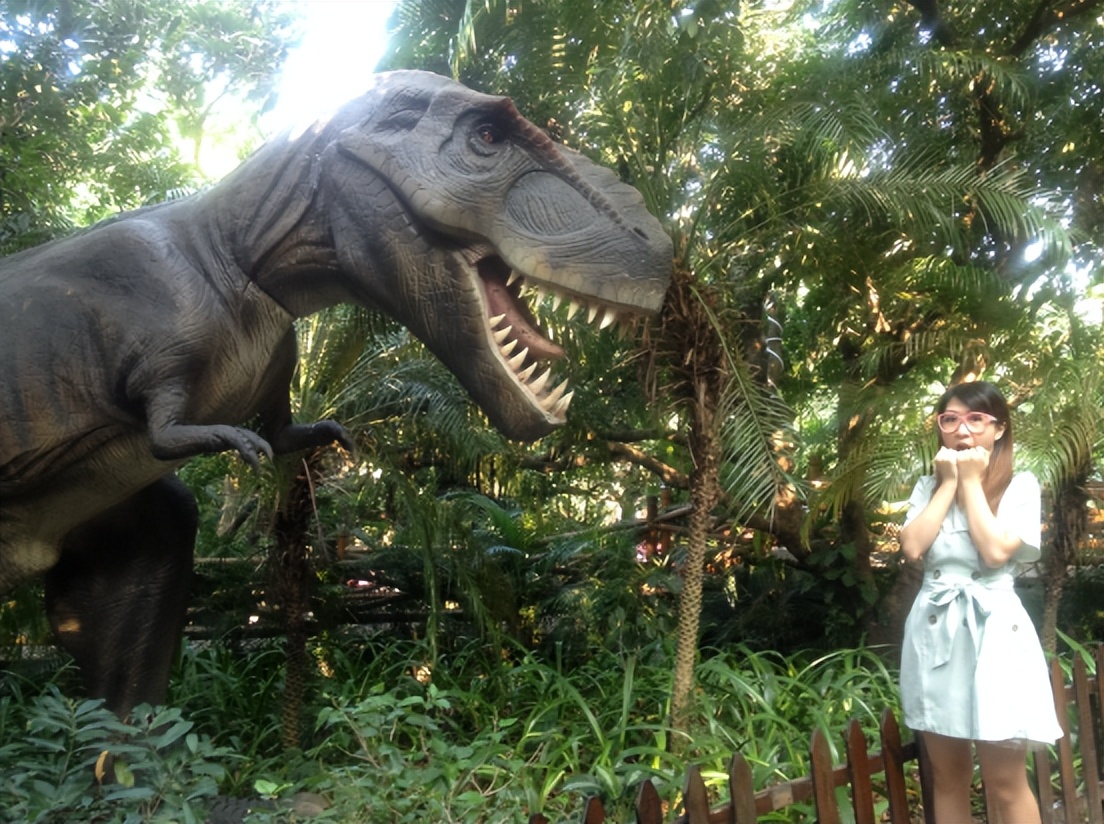 "Jurassic Park": How to explore the conflict and boundary between ...
