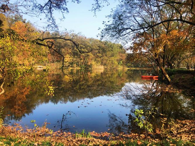 As the saying goes: "If you don't want to live a short life, don't ...