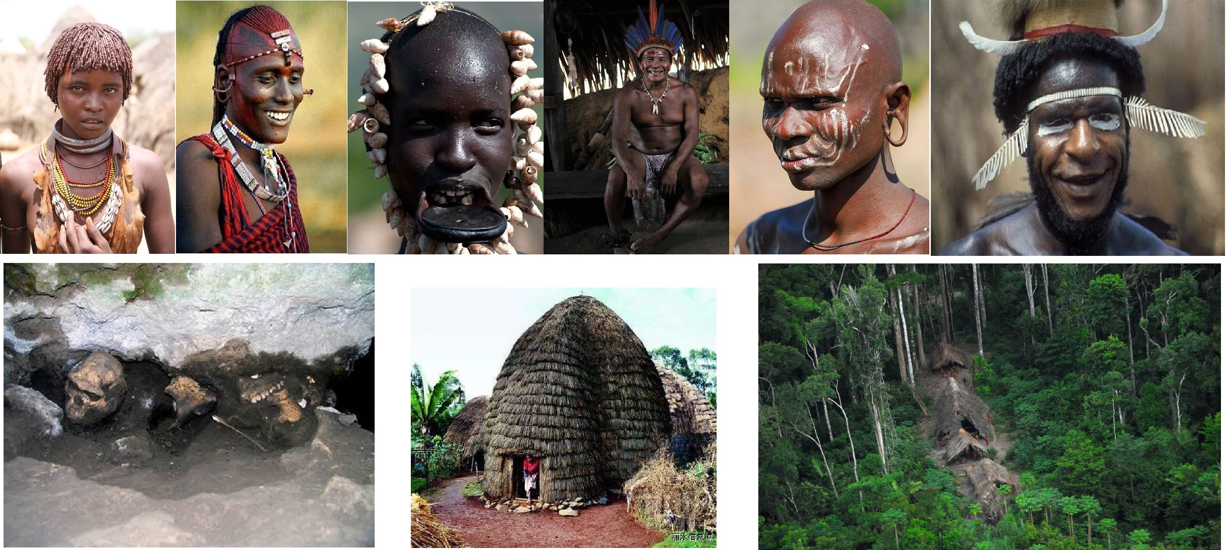 14. How did humans emerge?125 science questions - iNEWS