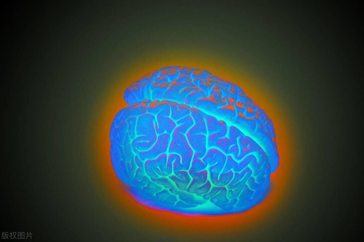 "Unraveling the Mystery of Super Memory: Exploring the Limits and ...