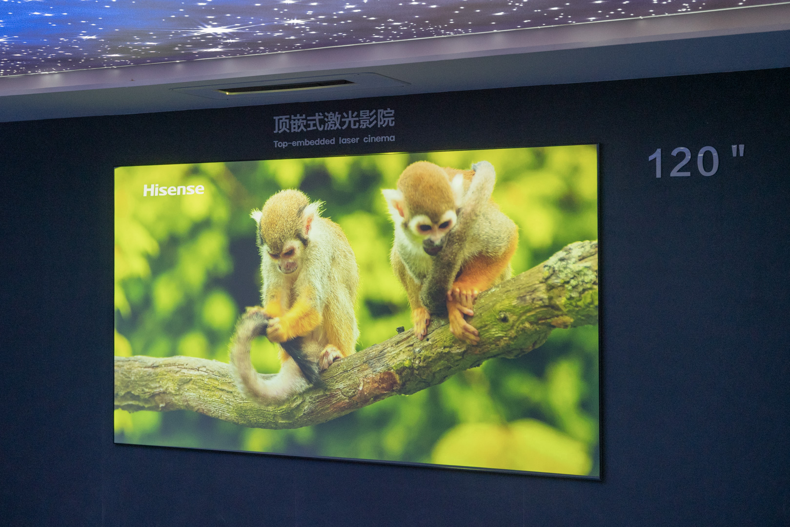 UDE 2023 Observation: Domestic display brands are beginning to roll out ...