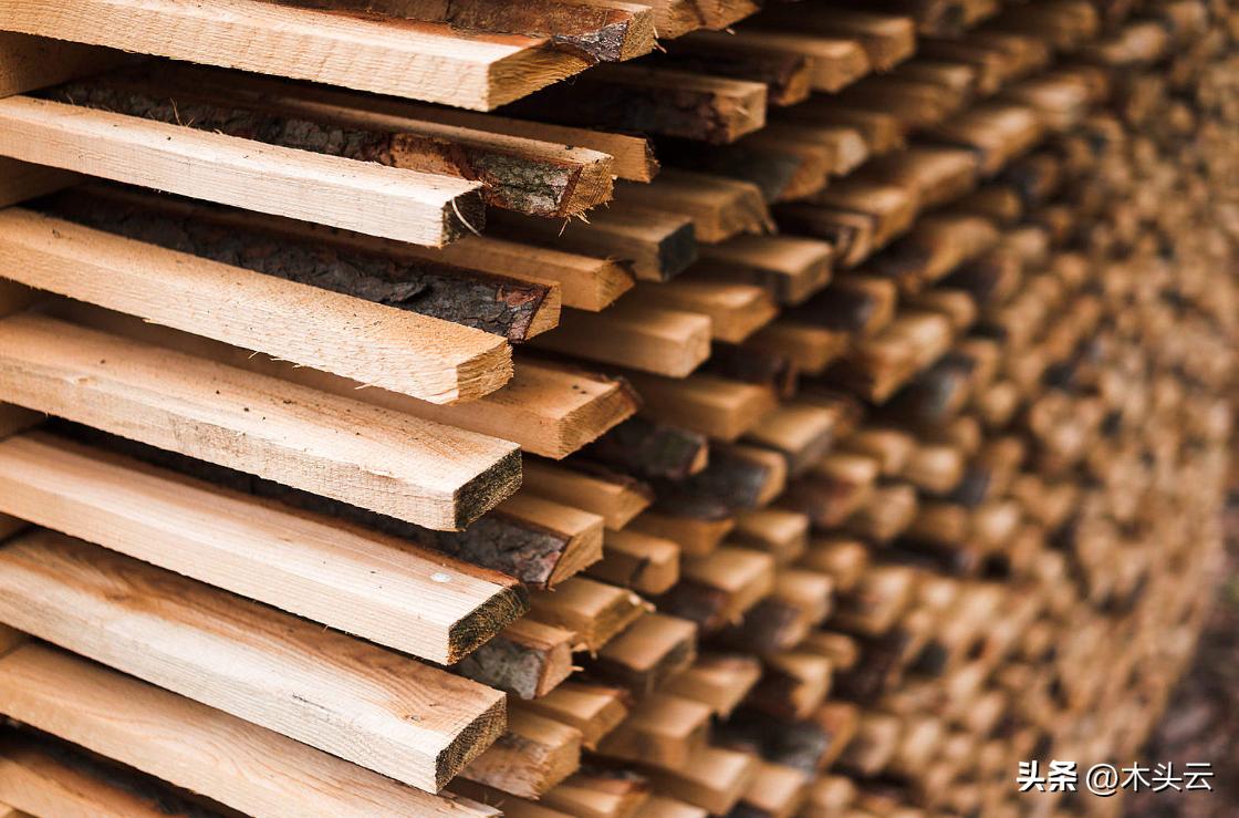 Extending the Life of Wood: How to Store Wood to Prevent Warping? - iNEWS