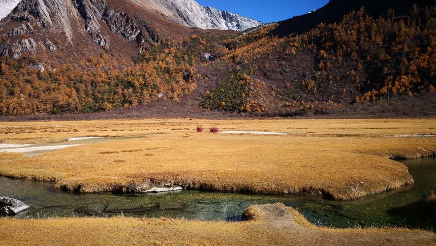 The Life of Buddha: Deliberately Spending the Night in Scary Places on ...