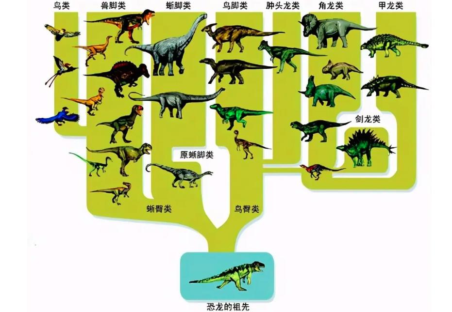 Dinosaur descendants litter the world, and often linger on our dining ...