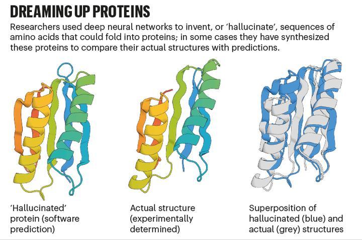 Protein folding under confinement: the role of solvents - iNEWS