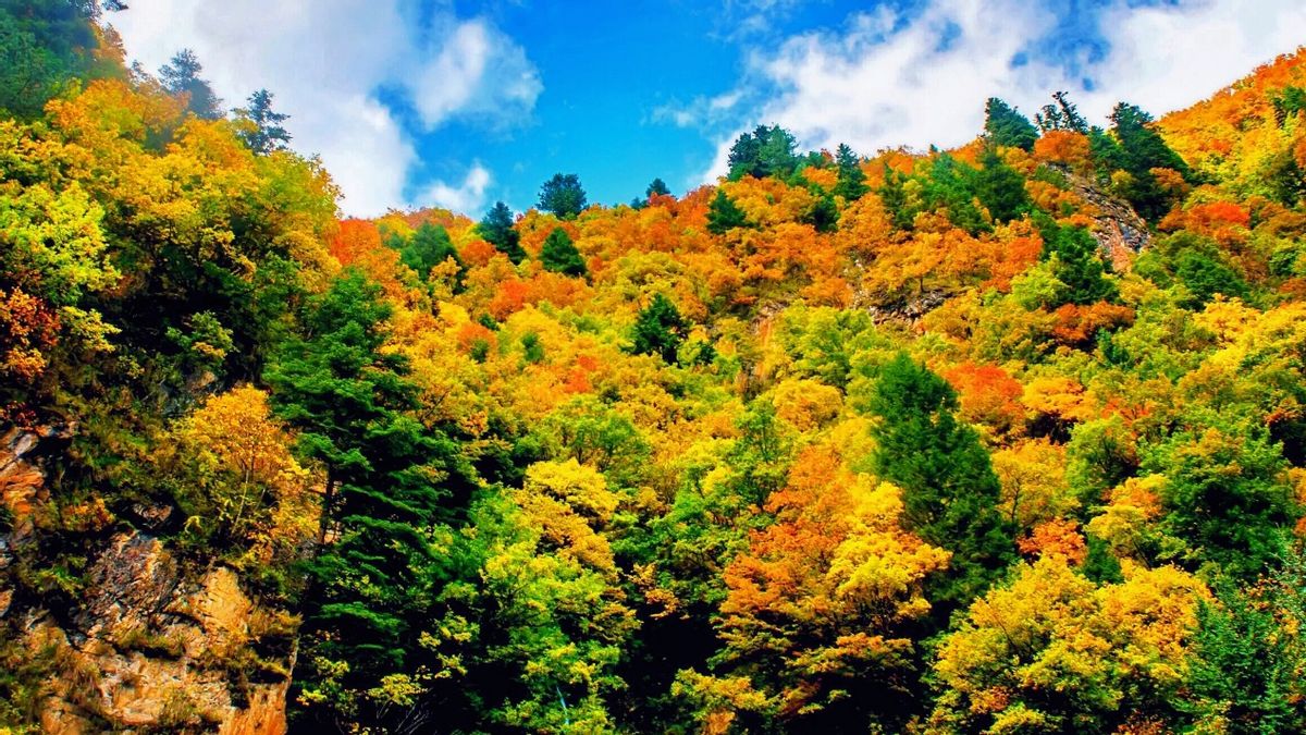 Self-driving must punch in November!These niche travel destinations are ...