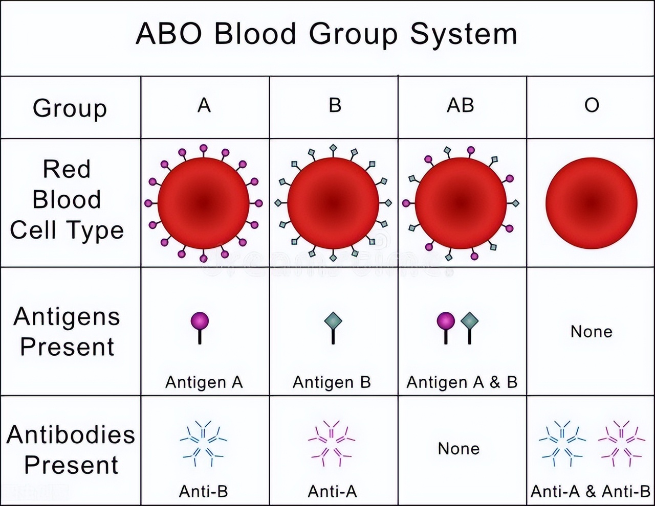 Teach you how to determine parent-child relationship by blood type - iNEWS