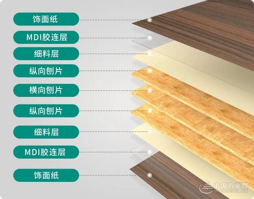 Time Lek Jin Rongguang joined Luli Wood Industry and won the Top Ten ...