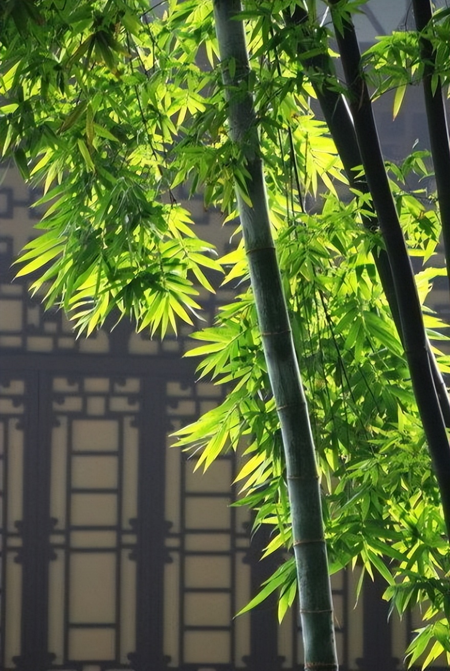 Ten poems by Song Dynasty poet Zhang Kan, life is good everywhere, the ...