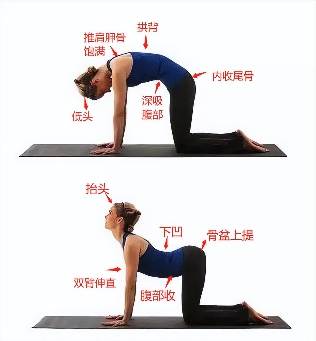 Why make the body soft? Say goodbye to stiffness from start to finish ...