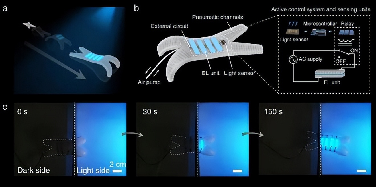 SUSTech Liu Ji's team integrated 3D printing of flexible display devices and soft robots - iNEWS