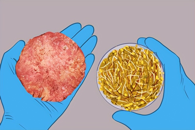 How is artificial meat made? - iNEWS