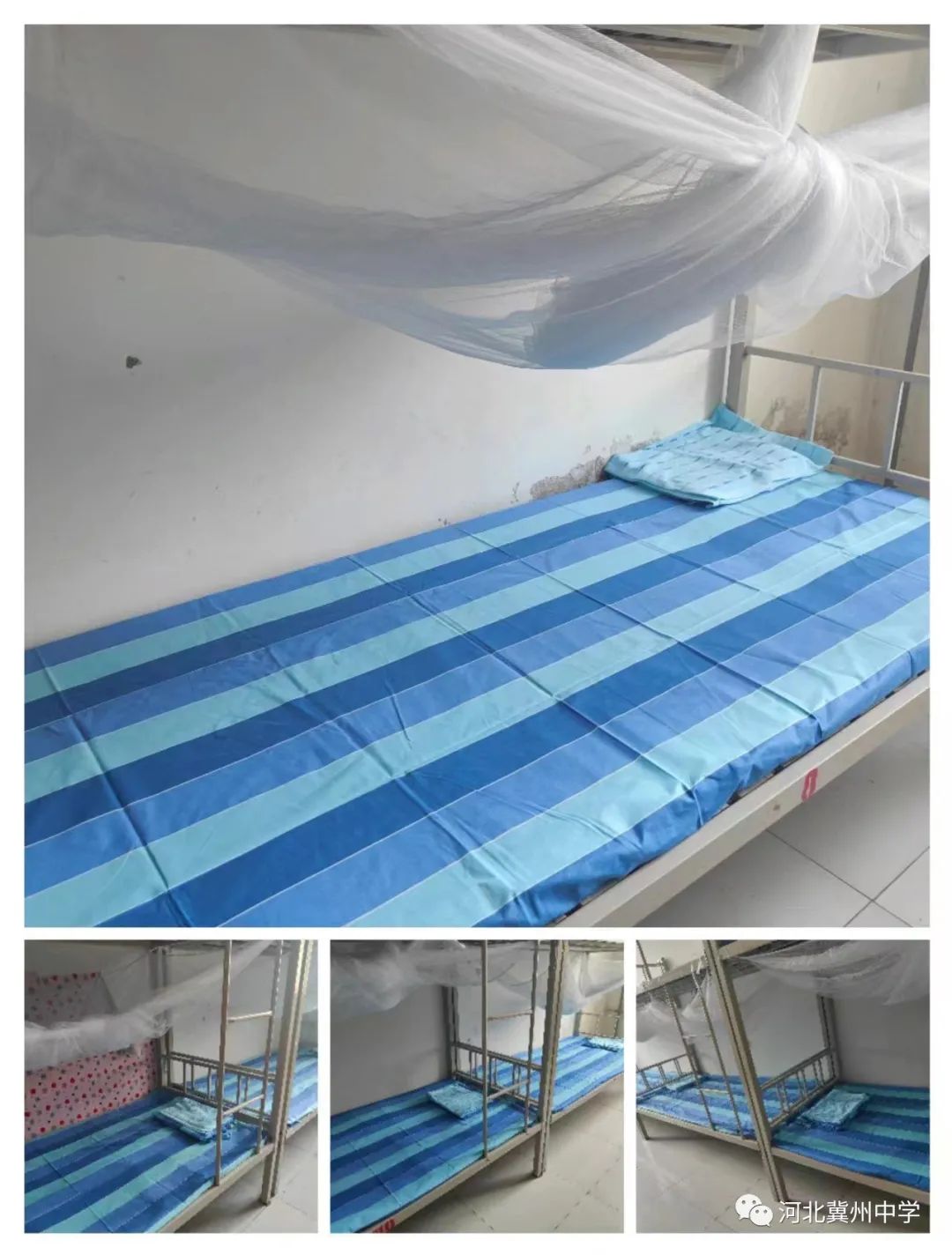 "Mengxin" Growth Chapter - iNEWS