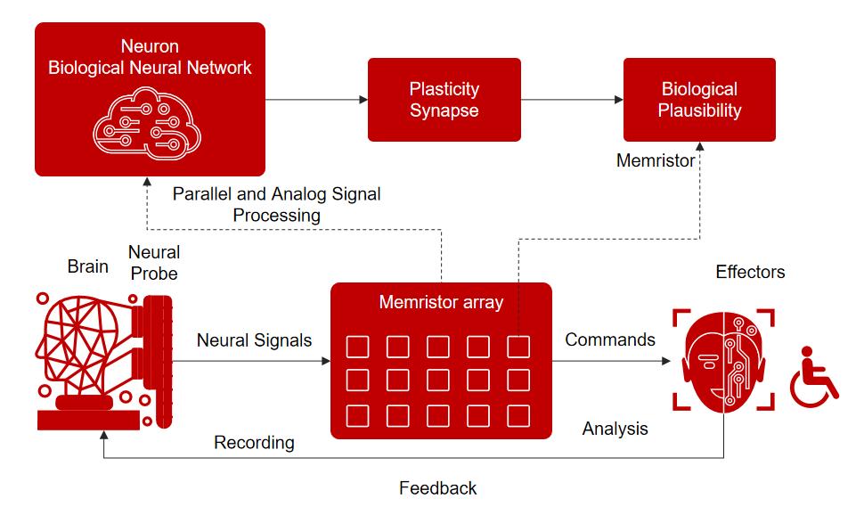 WIMI develops memristor-based neural signal analysis system to realize efficient brain-computer ...
