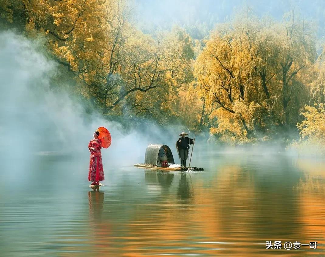 Literary Interests: Witty and Humorous Acacia Poems - iNEWS