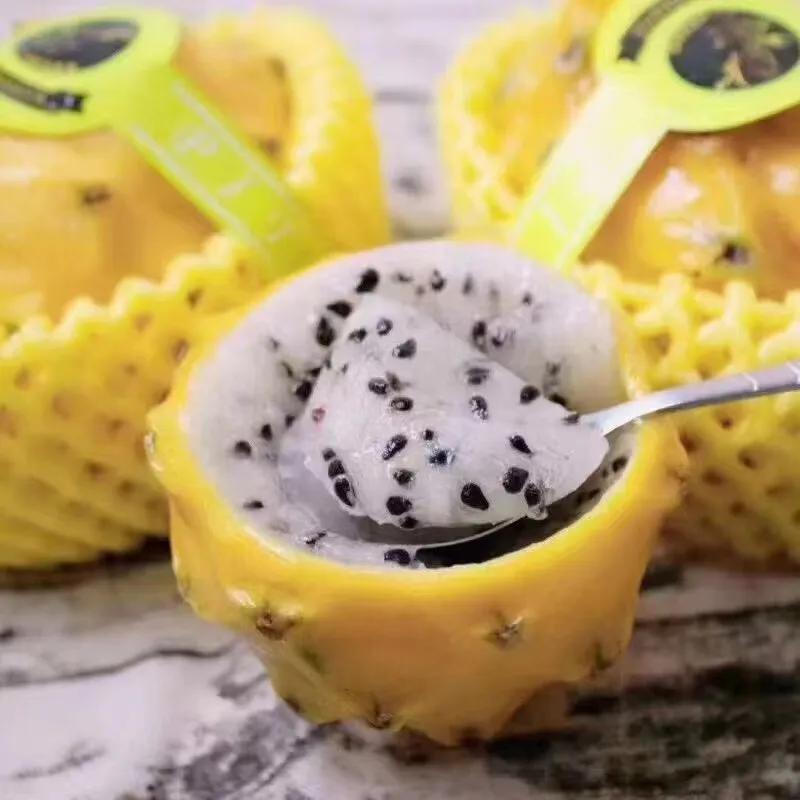 Have you ever eaten a Rolls Royce among fruits? - iNEWS