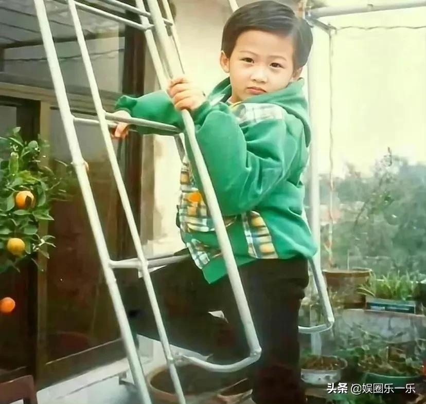 Qiu Shuzhen, Ma Sichun, Zhou Xun, Tan Jianci, Dilireba, Tang Yan, Zhong ...