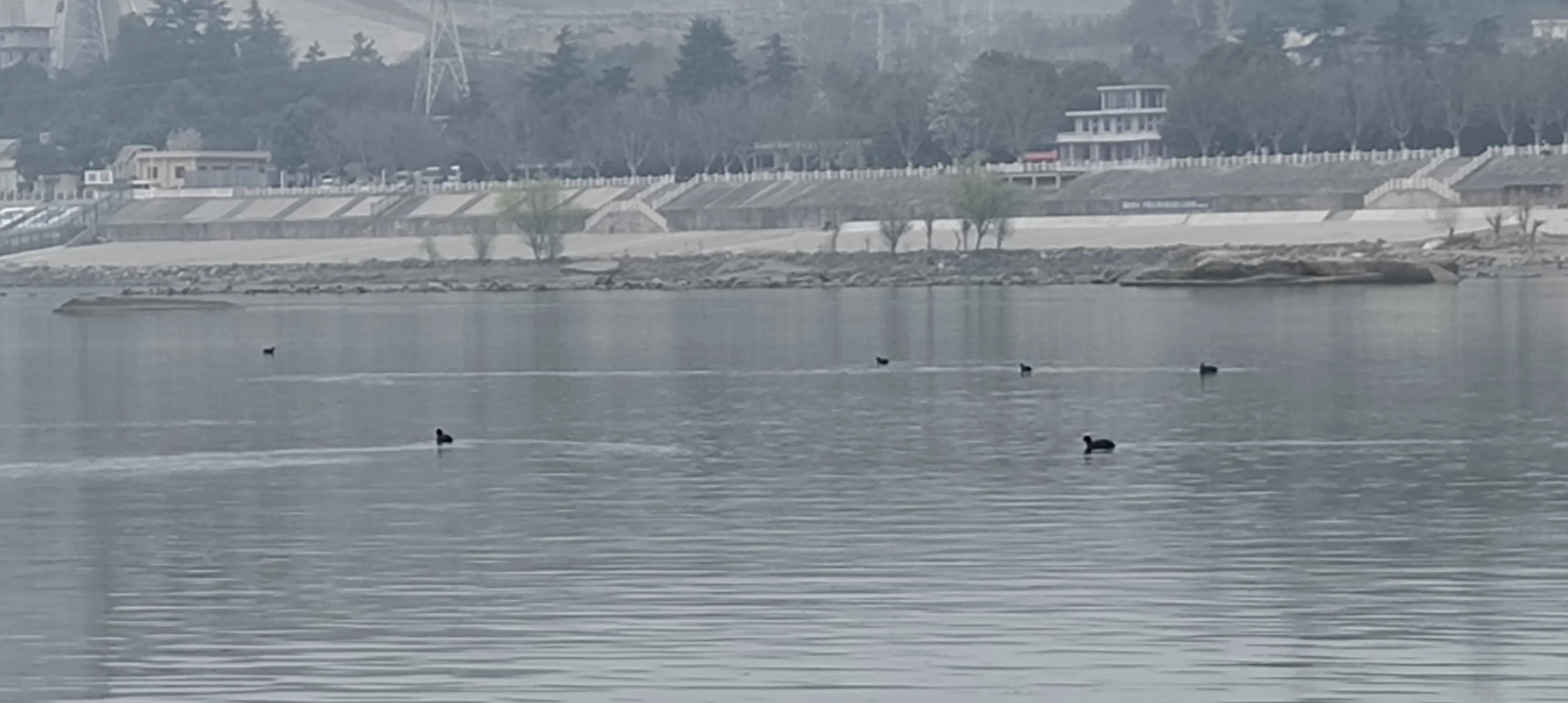 The source of the South-to-North Water Diversion Project - Danjiangkou ...