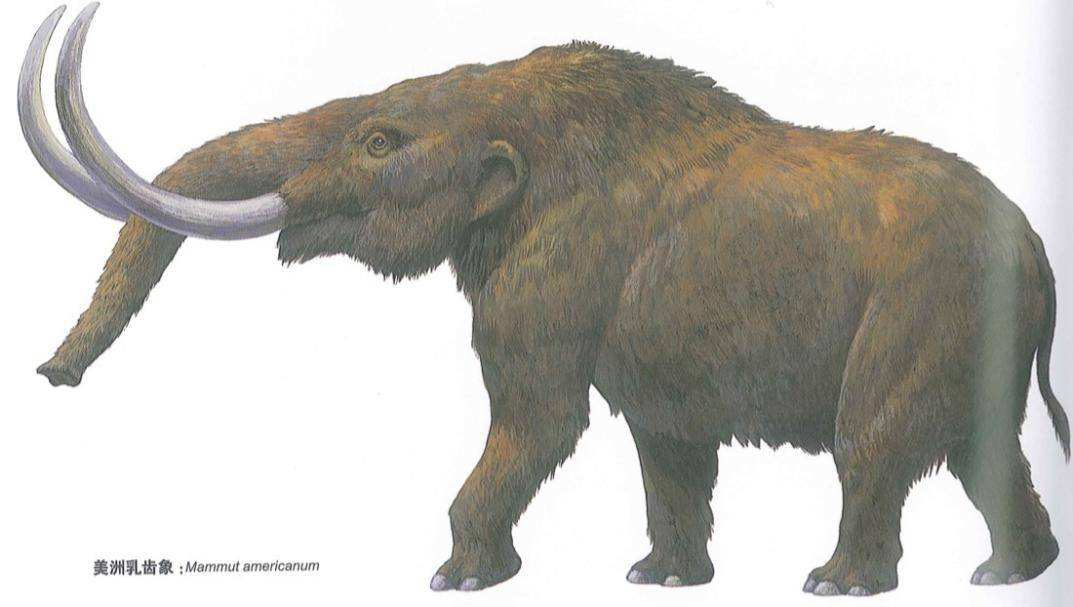 Where did the "Mastodon" get its name? - iNEWS