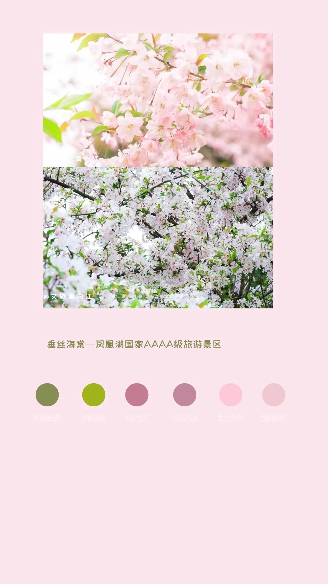 Qingbaijiang, beautiful! - iNEWS