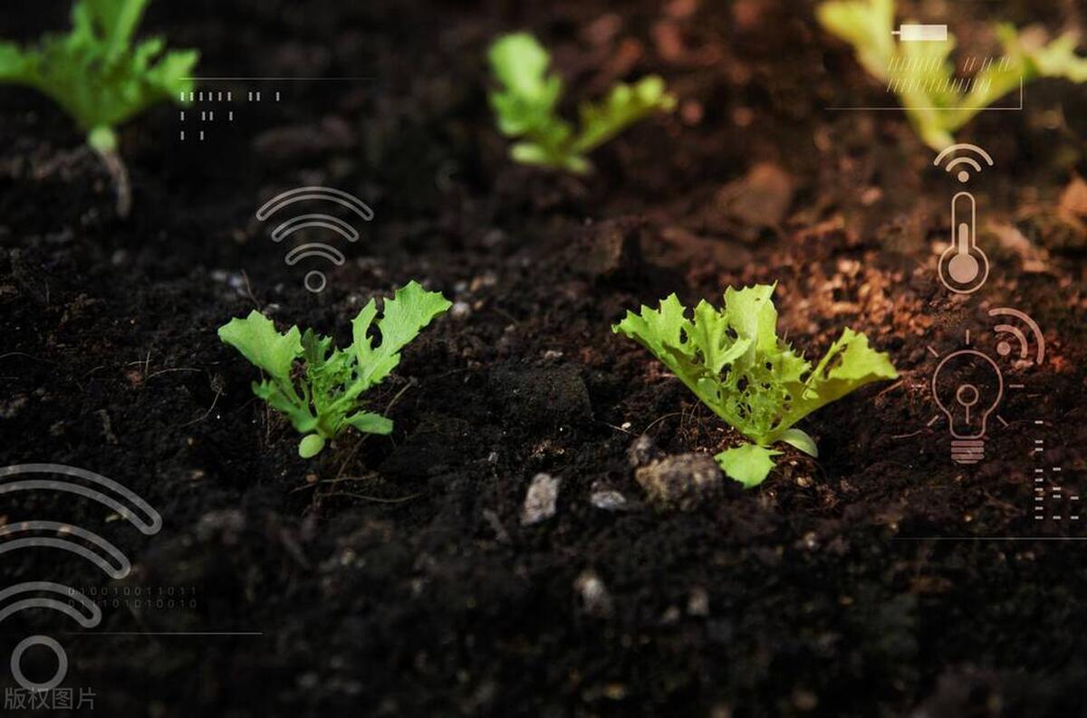 The acceleration of agricultural modernization! "Cloud farming" smart agricultural system is ...