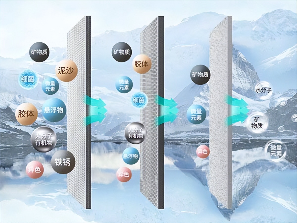 What are the internal structures of the water purifier? - iNEWS