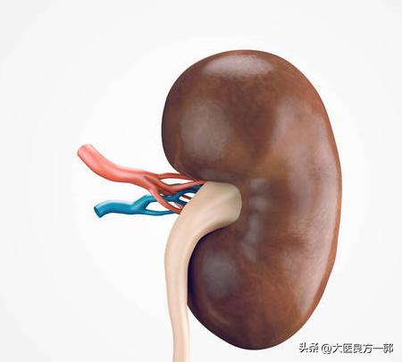 Frequent urination, frequent urination at night, a Chinese patent ...