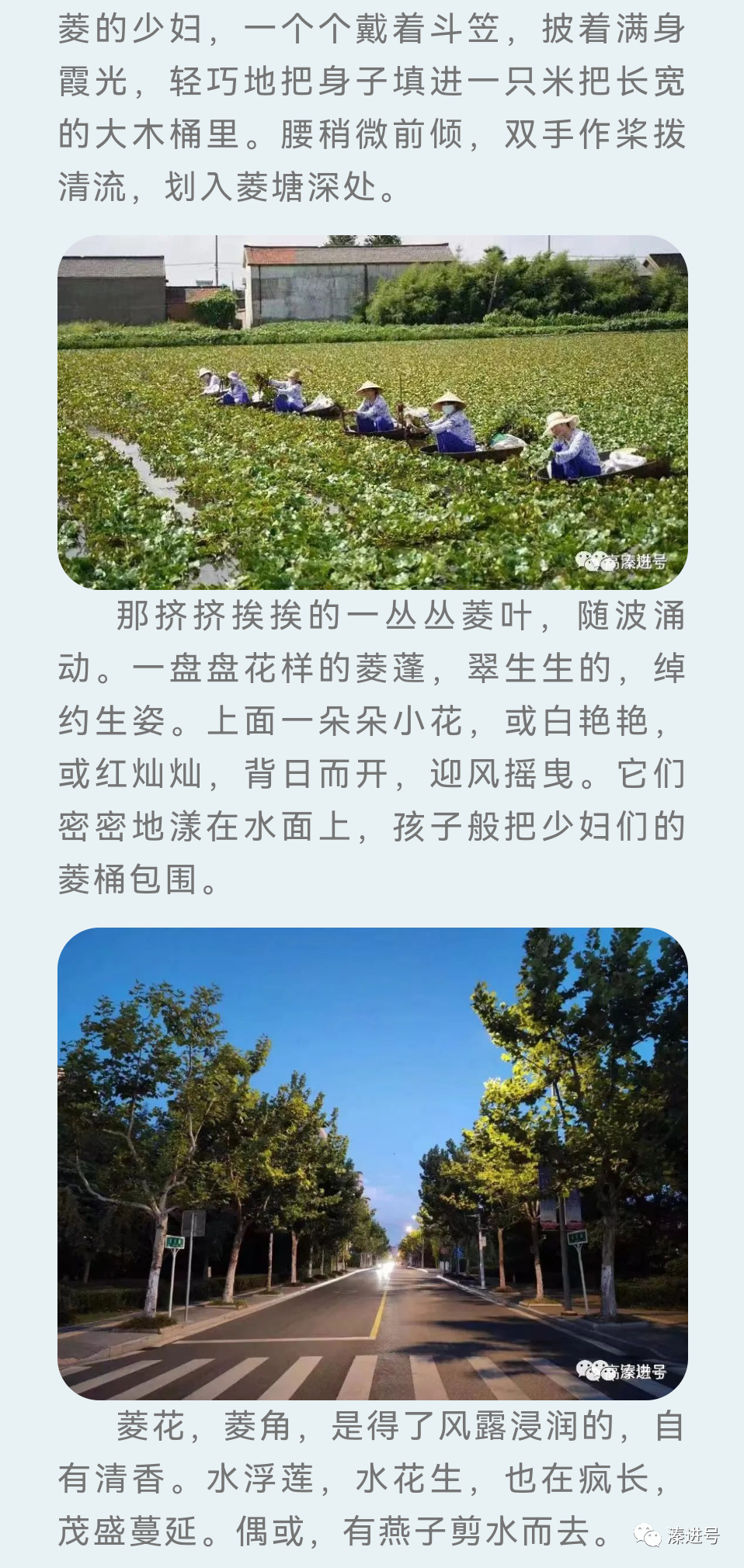 In Qindong, Dongtai, eat a mouthful of the "Three Immortals of Water ...
