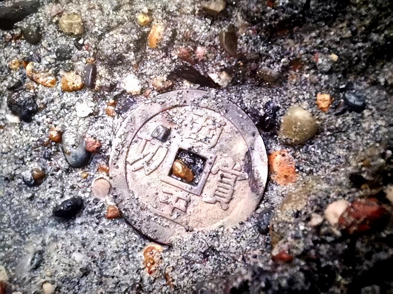 In a remote corner of the wilderness, ancient copper coins from the ...